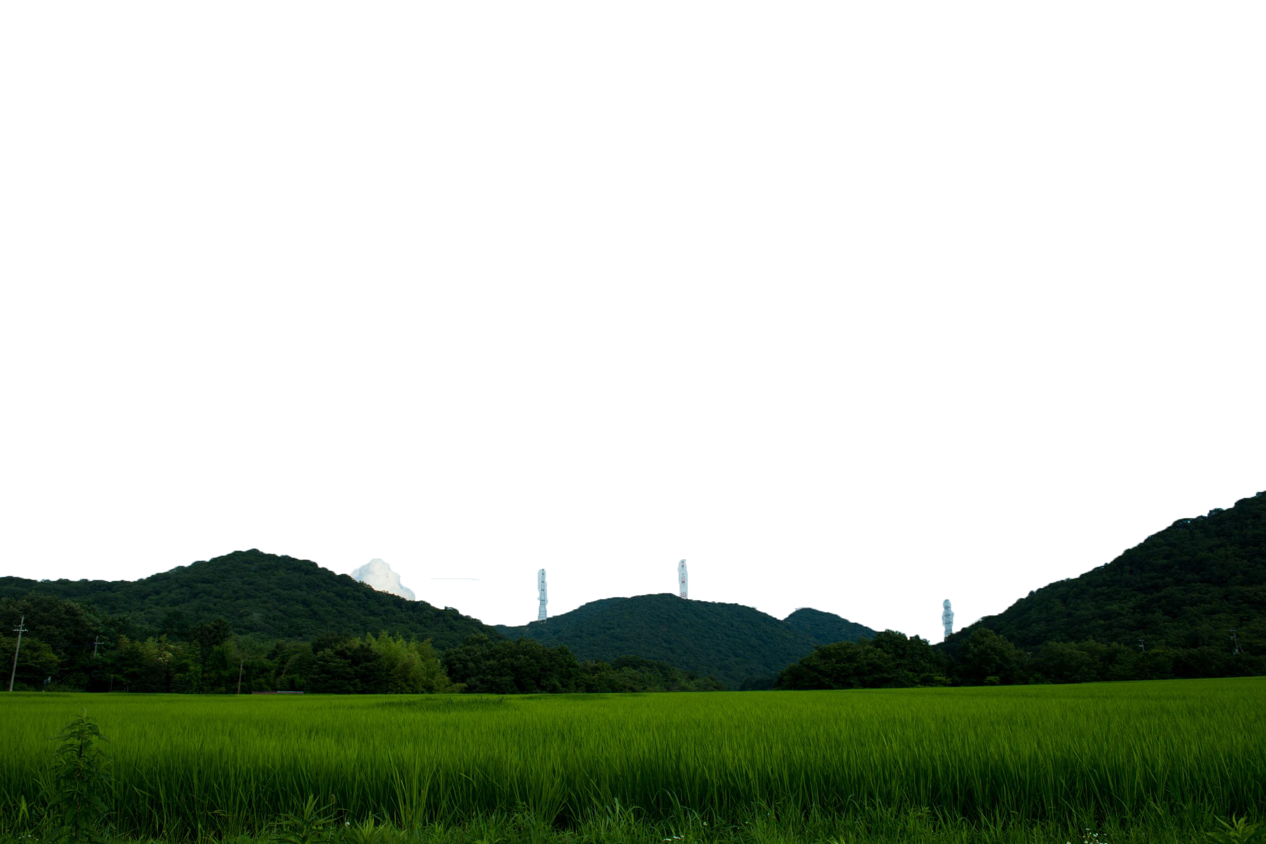 トップページ - seme